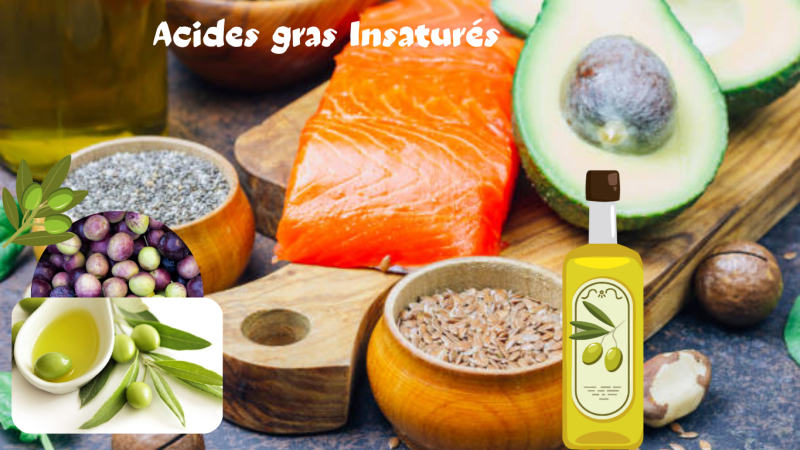Les Acides Gras Insaturés - snail-info
