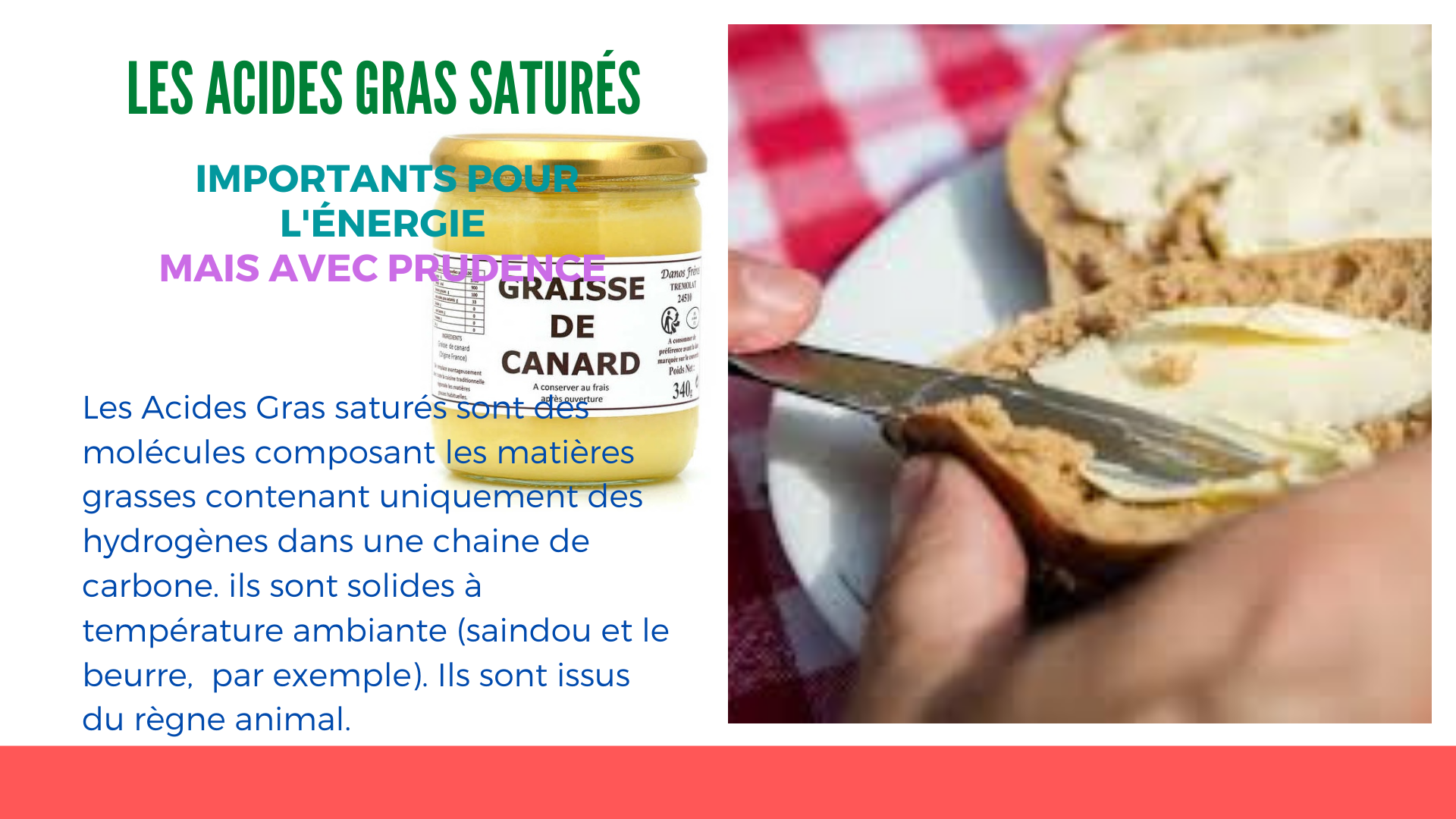 Les Acides Gras Saturés - snail-info