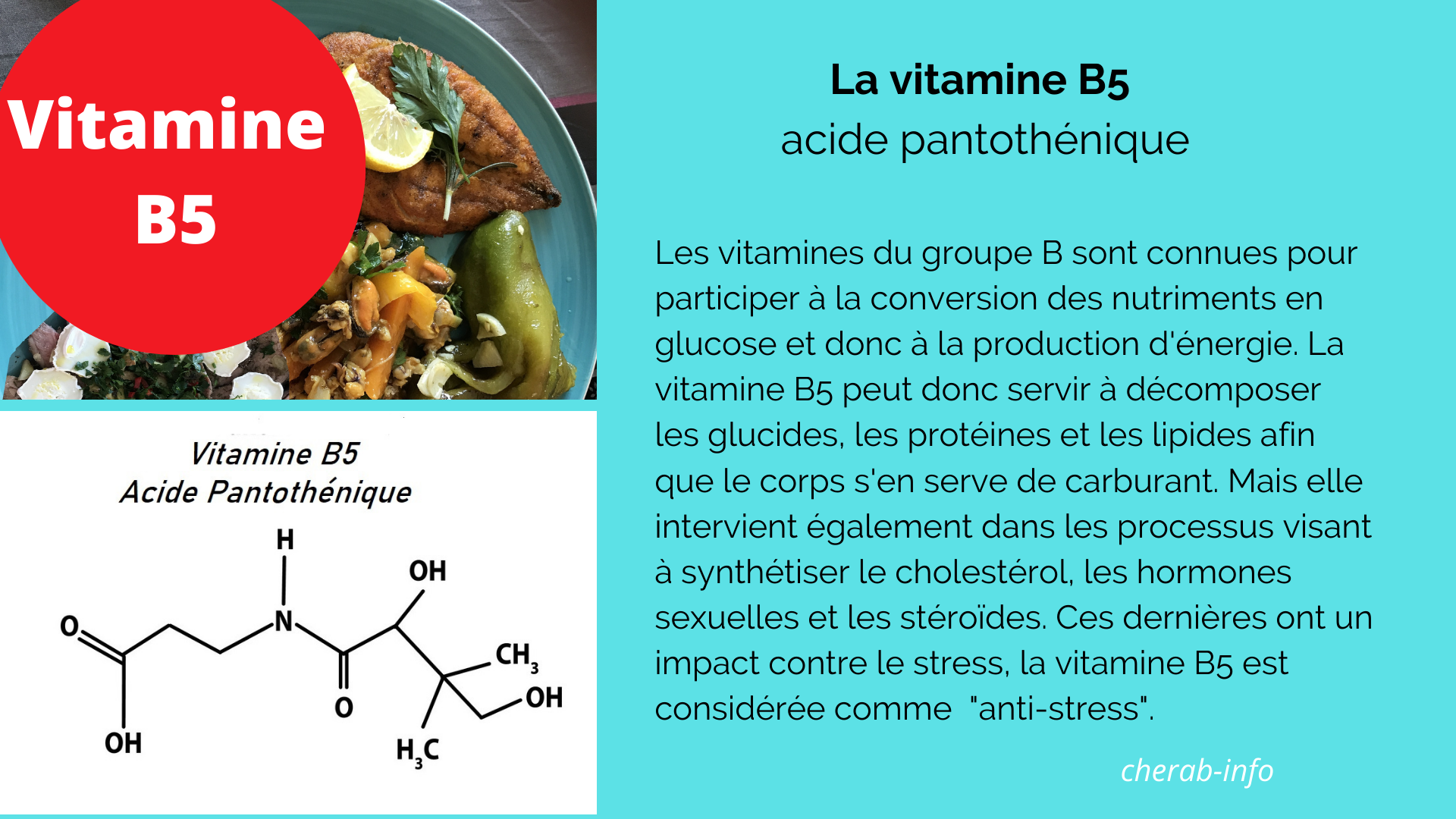 Blog-note - snail-info