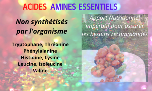 Acide phénolique - snail-info