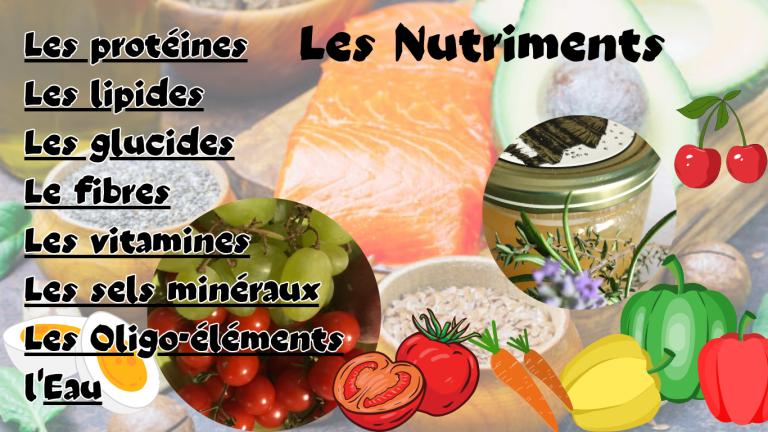 Les Nutriments - snail-info